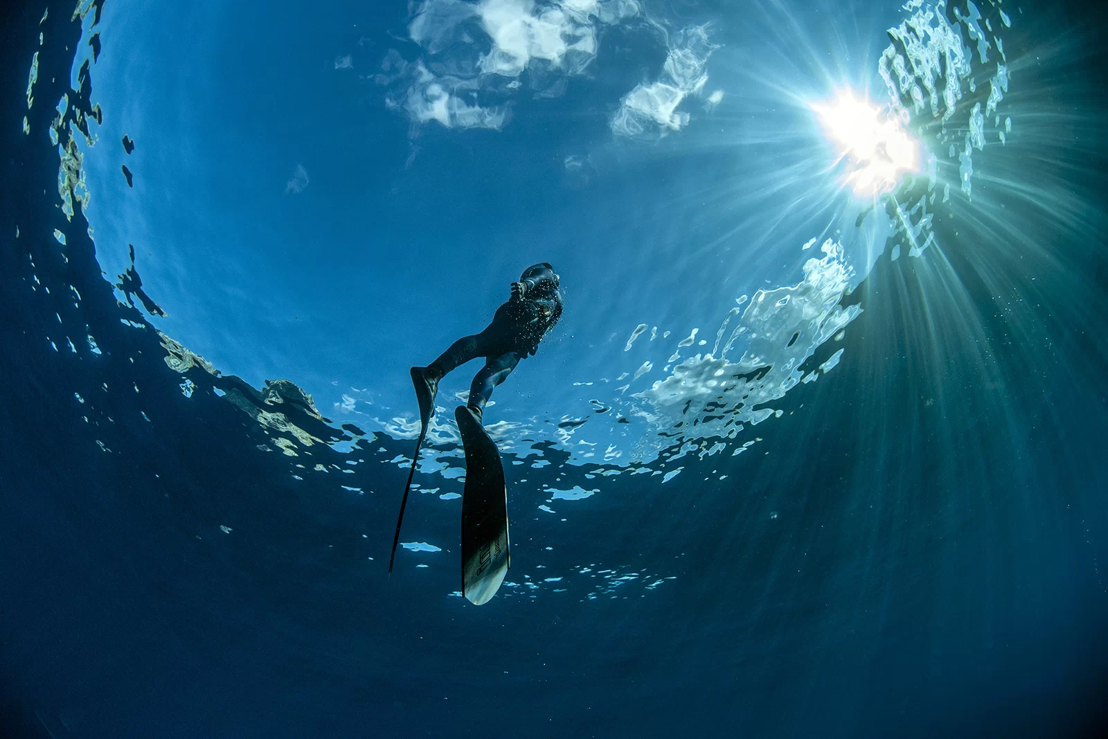 10. Plants in space. - MY SPECIAL DOCTOR